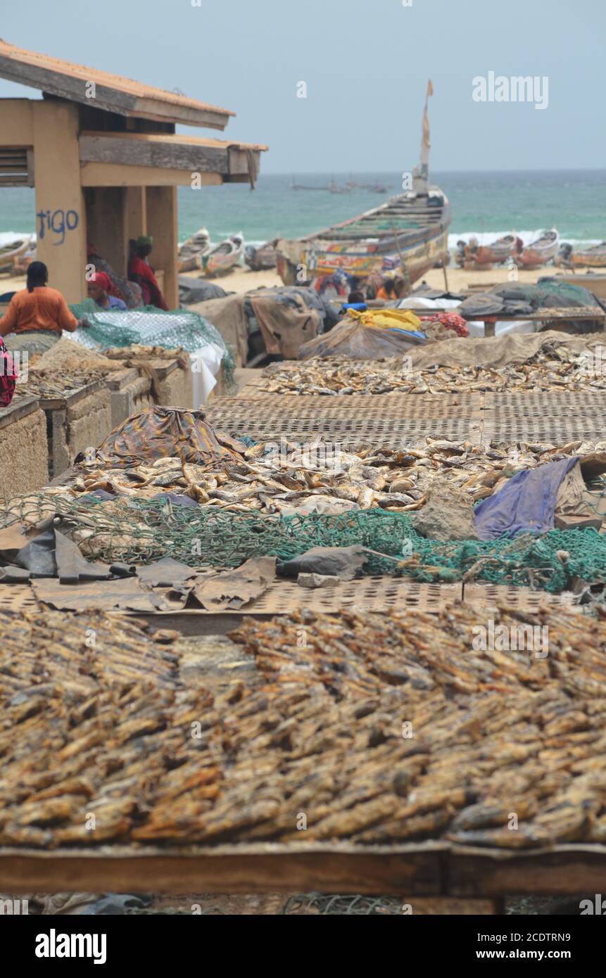 Racks of sun-dried (guédj), salted and/or smoked fish (kétiakh) in ...