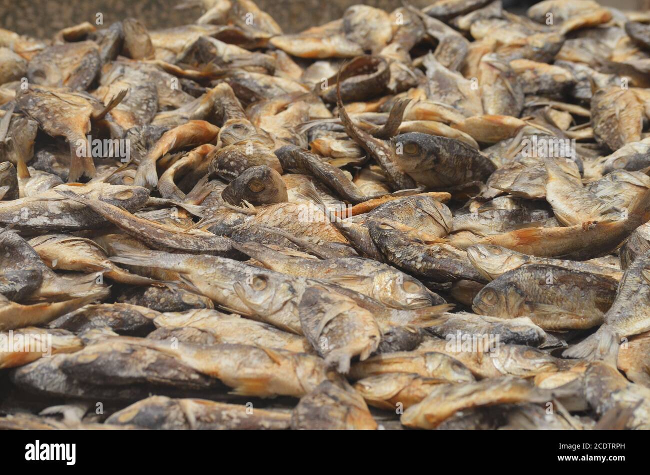 Racks of sun-dried (guédj), salted and/or smoked fish (kétiakh) in ...