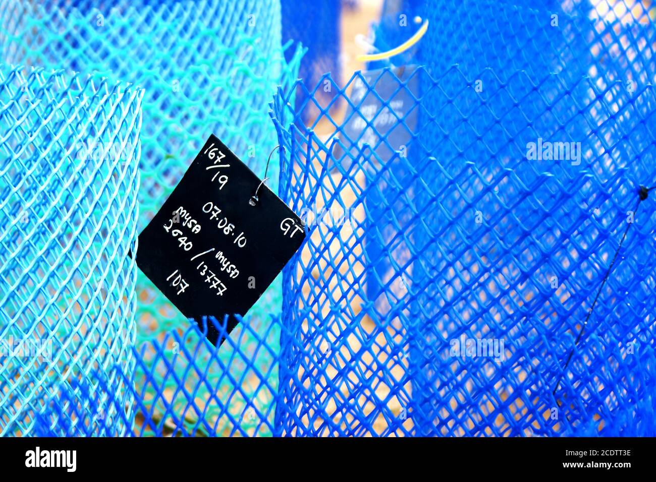 Blue wire tubes and an identification-label to protect the nests of sea ...