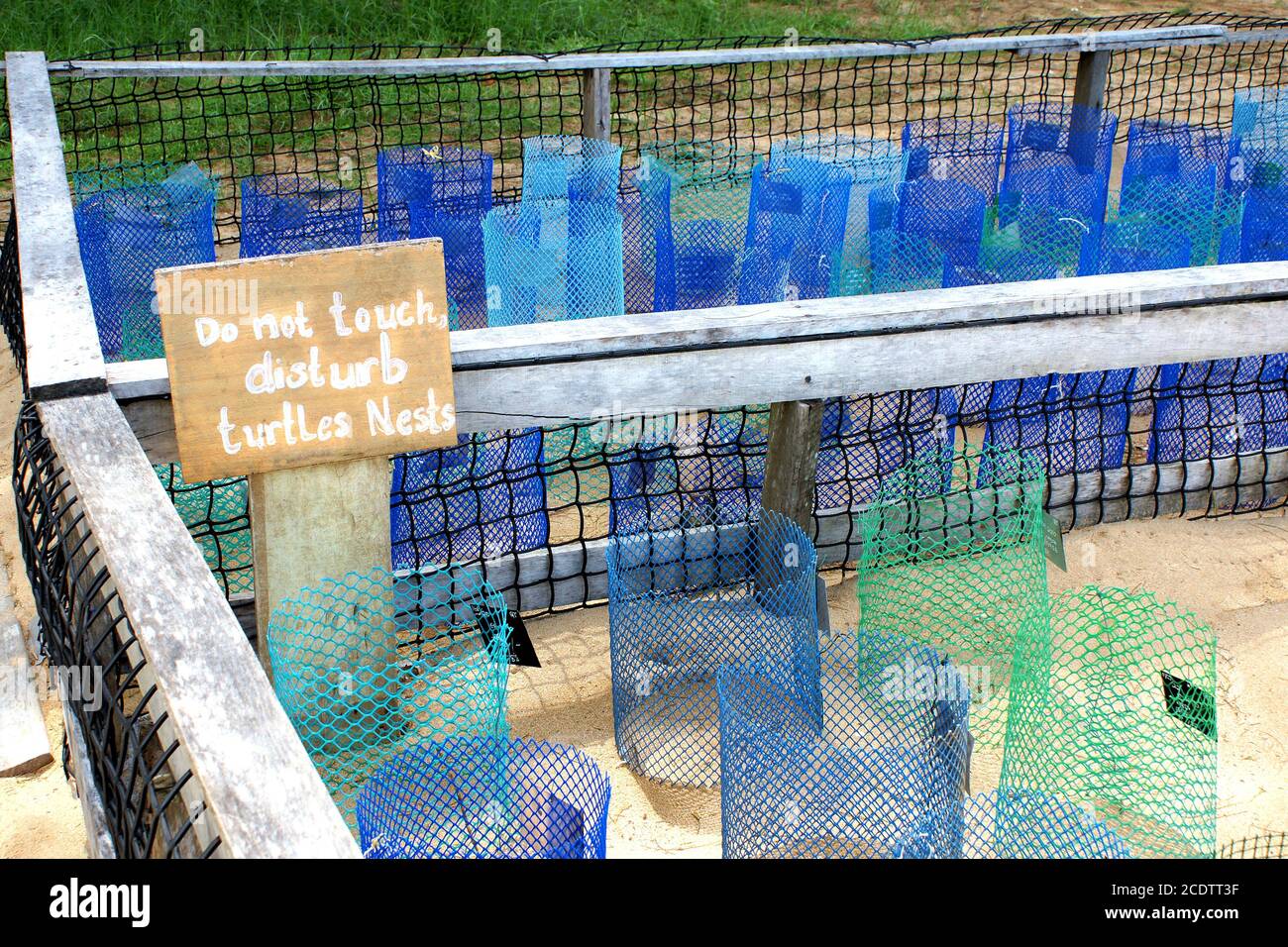 Wire support cage hi-res stock photography and images - Alamy