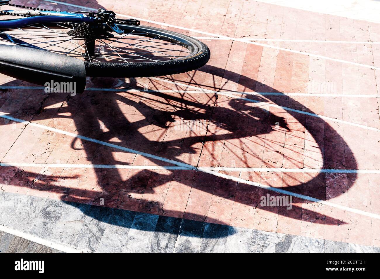Rear wheel of a bicycle and its shadow on paving stones Stock Photo - Alamy