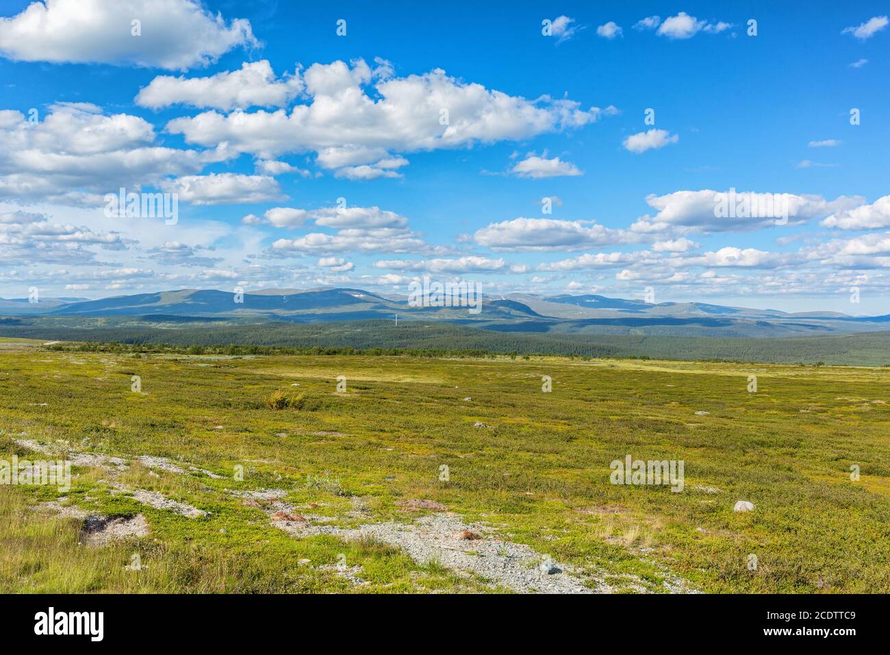 Beautiful tundra landscape view with mountains in the horizon at summer ...