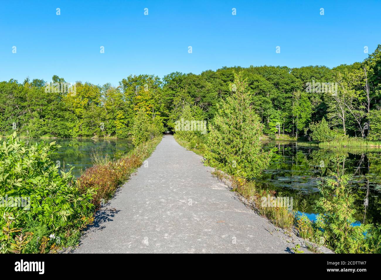 Nature trails through the forest Stock Photo - Alamy