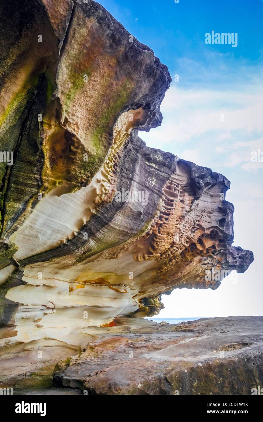 Bondi Beach coastal cliffs, Sydney, Australia Stock Photo - Alamy