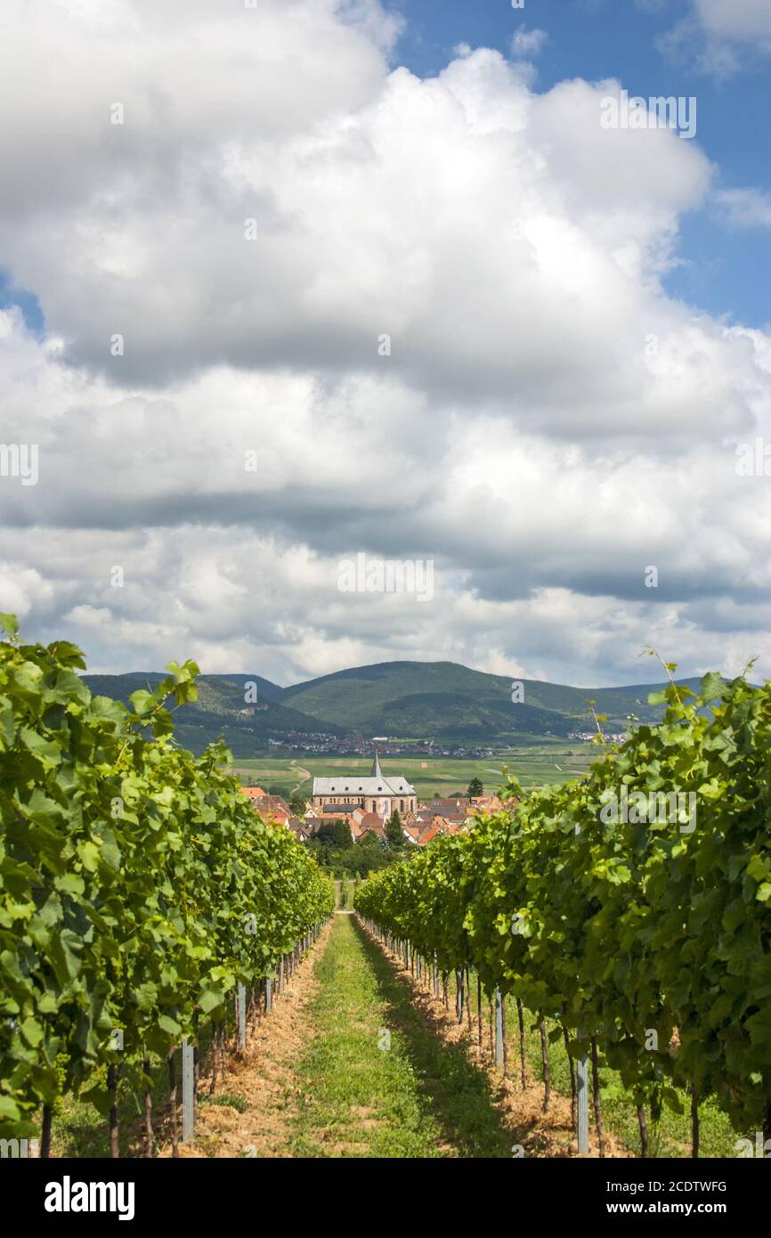 Vines village hi-res stock photography and images - Alamy