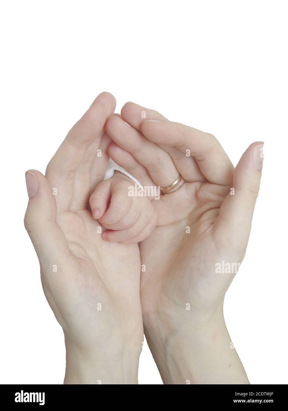 Baby weasel Cut Out Stock Images & Pictures - Alamy Baby weasel Cut Out Stock Images & Pictures - Alamy