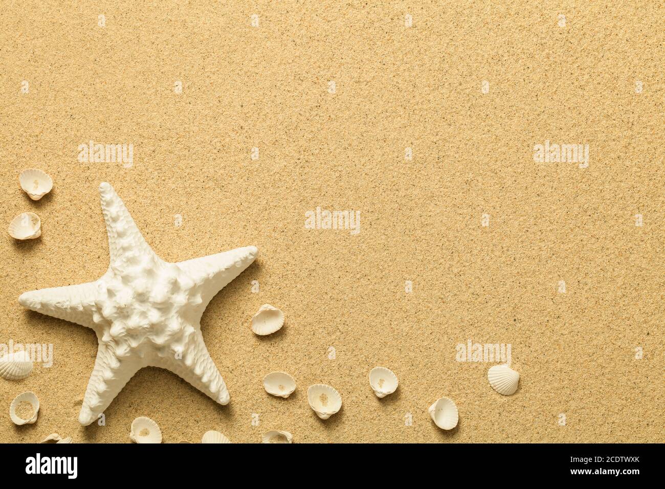 Summer, Sand Background with Starfish and Shells Stock Photo - Alamy