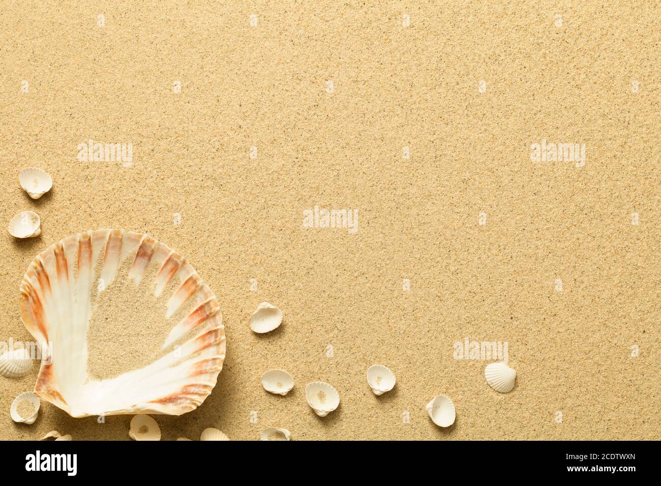 Summer, Sand Background with Shells Stock Photo - Alamy
