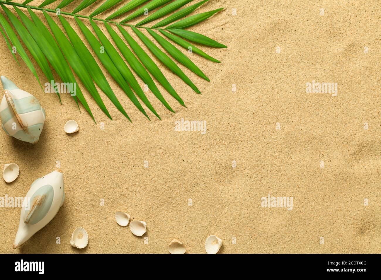 Summer Background with Green Palm Leaf, Fish and Shells Stock Photo - Alamy
