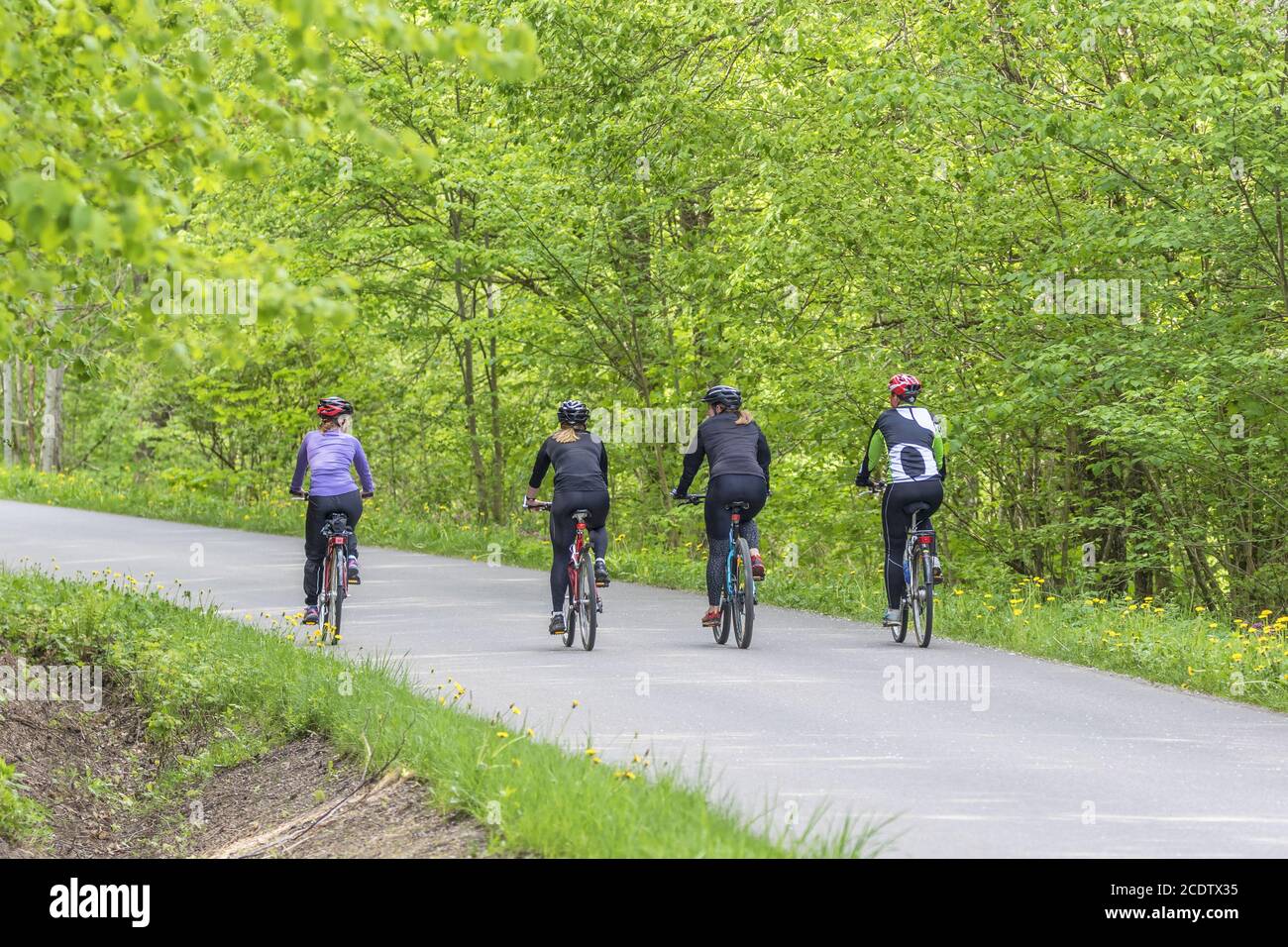Women who exercise on bicycle at a road in a forest Stock Photo - Alamy