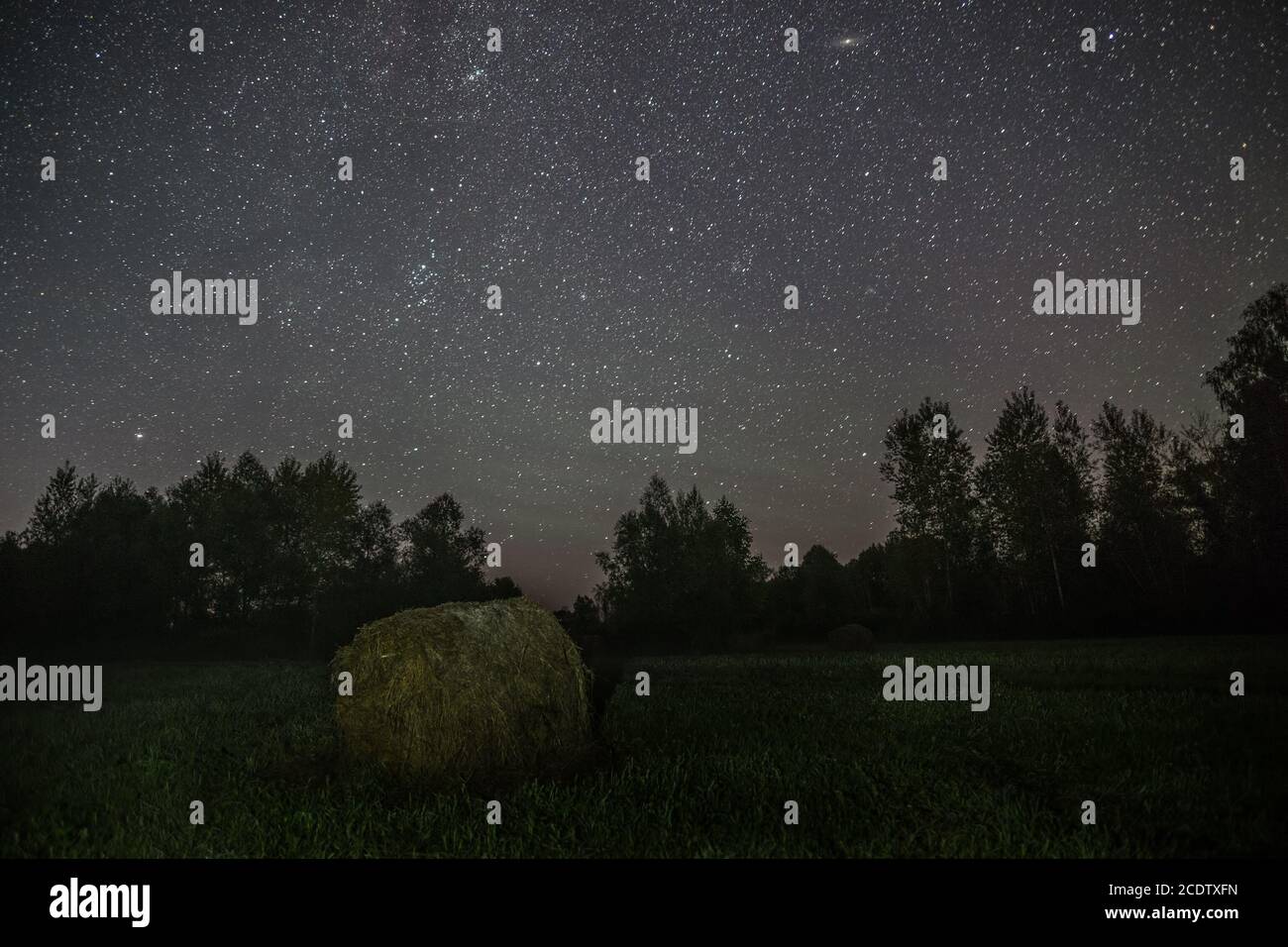 Star starlit night hi-res stock photography and images - Alamy