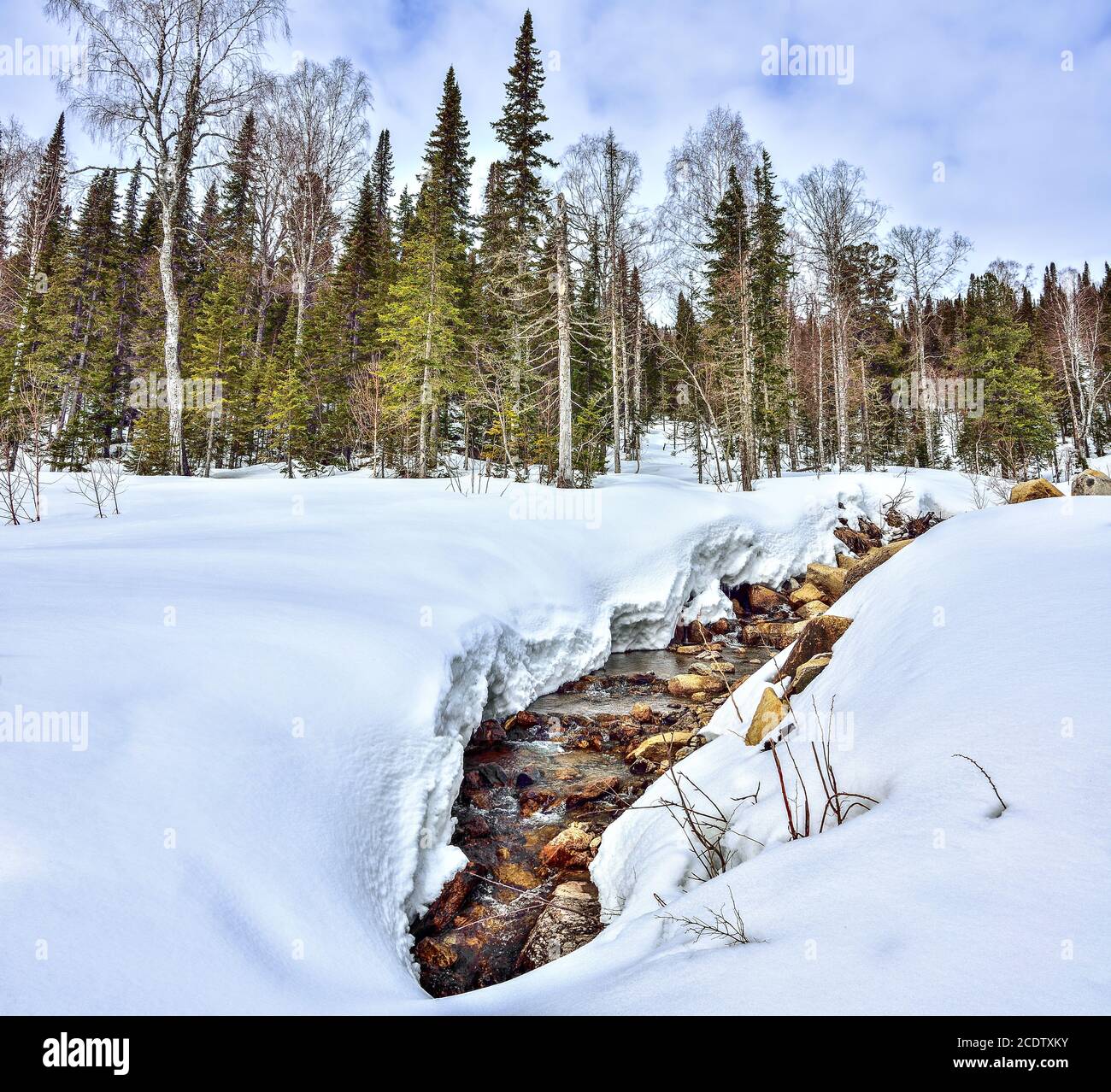 Melting creek in forest hi-res stock photography and images - Alamy