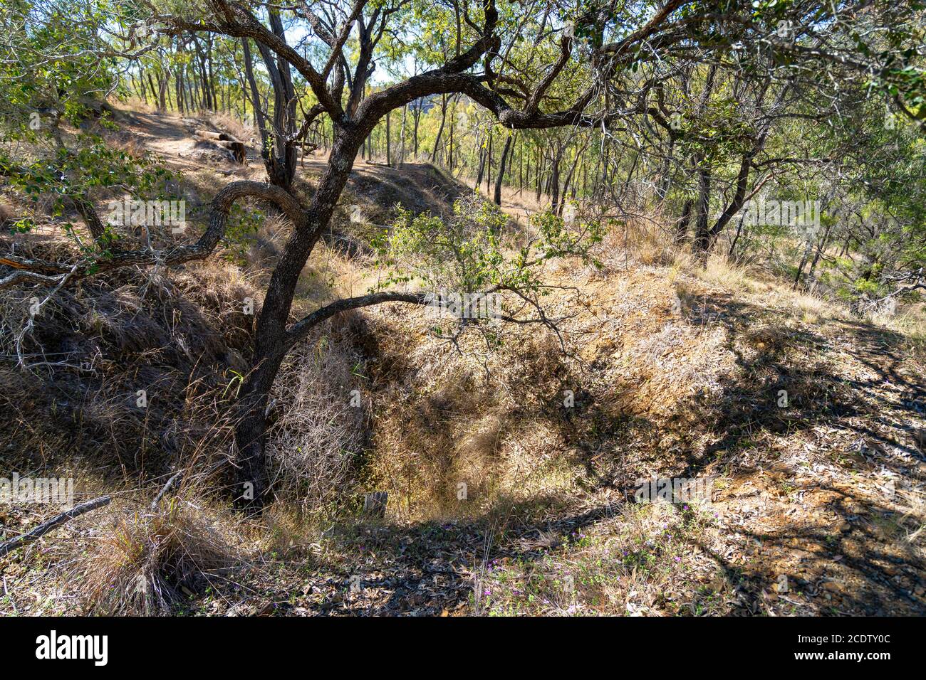 Remnants of the Shamrock Gold Mine at Cania Gorge National Park ...