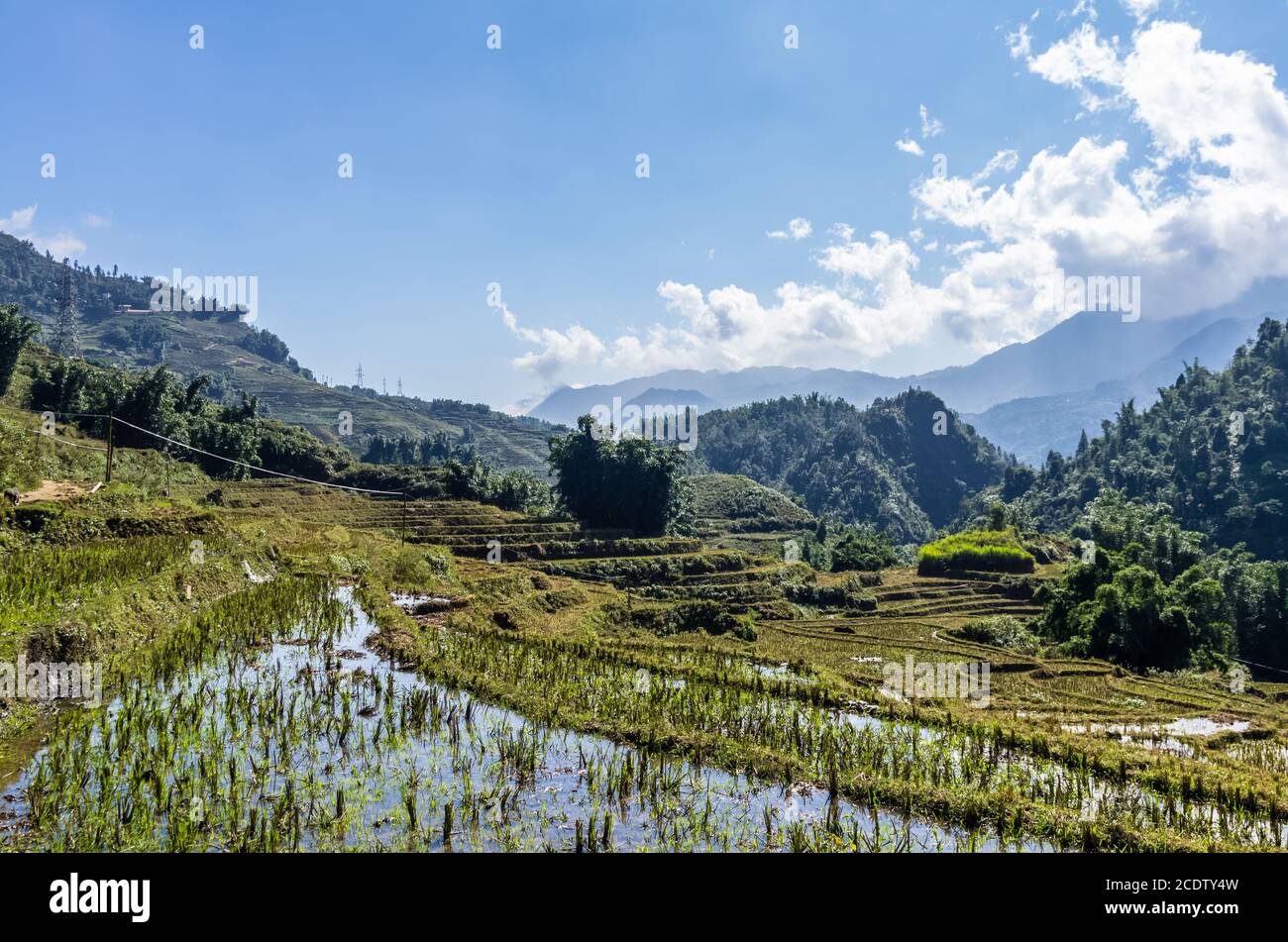 Amazing view on rice terrace in Sapa village, Vietnam Stock Photo - Alamy