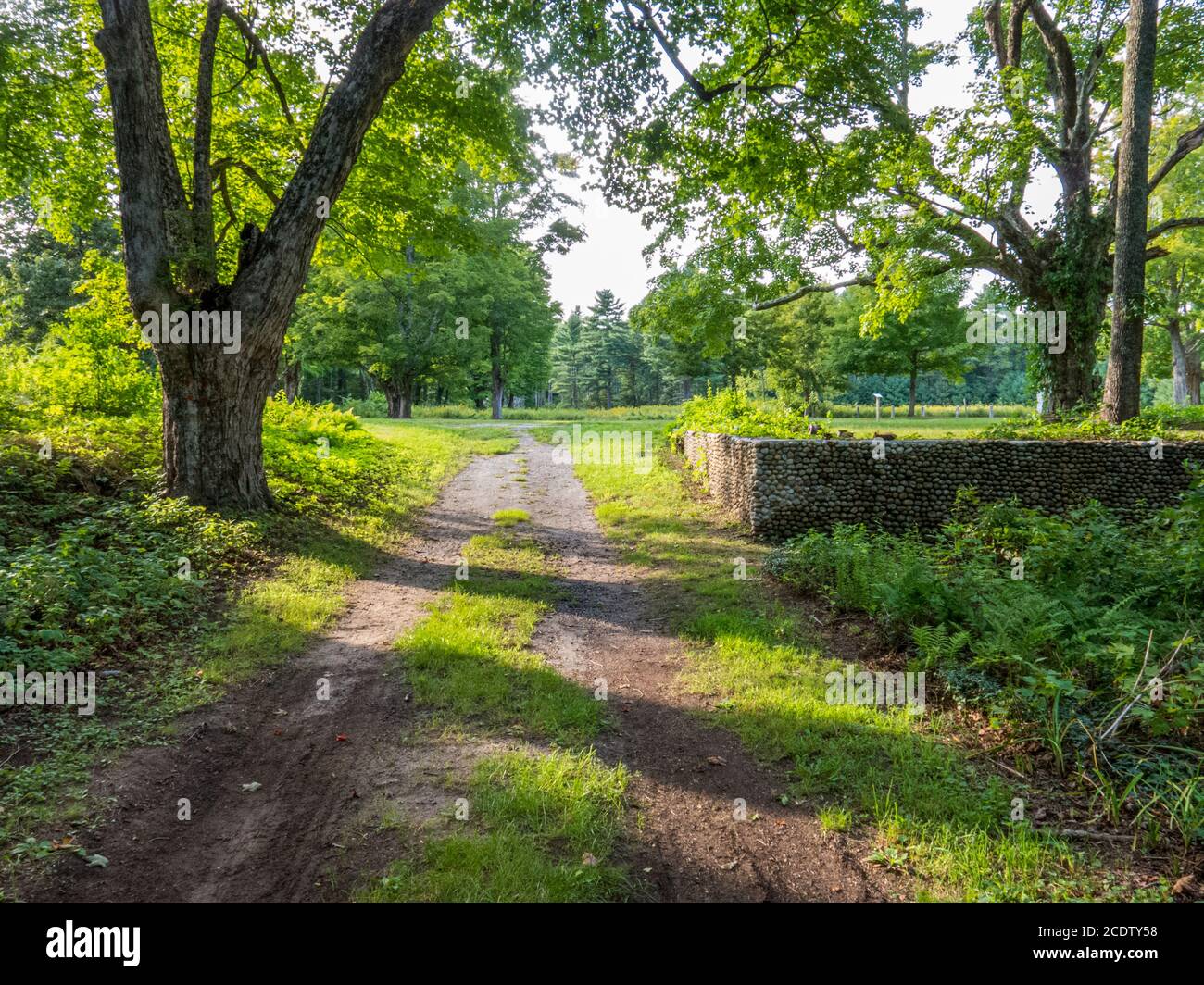 The road to Old Dana Center in the Quabbin Reservoir in Petersham, MA ...