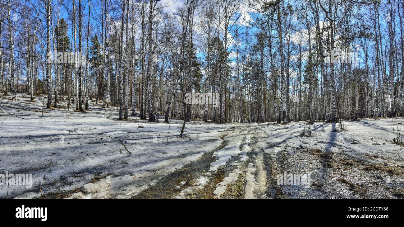 Melting Snow Landscape
