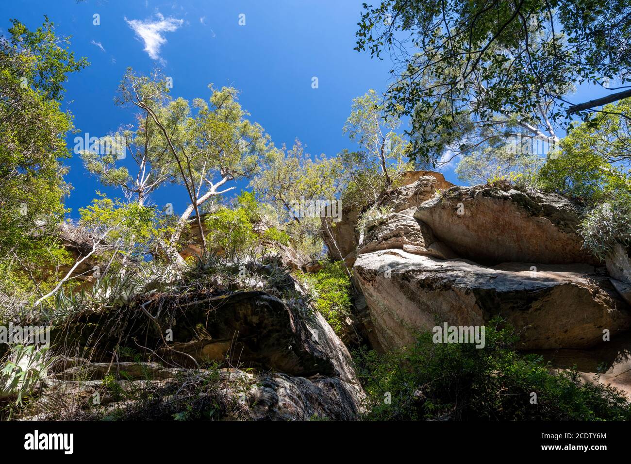 Cania hi-res stock photography and images - Alamy