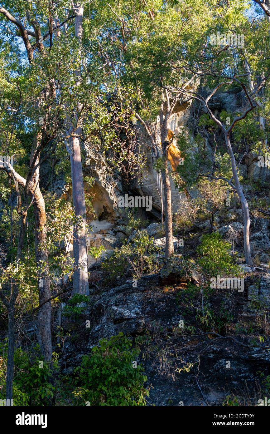Sandstone cliffs at Cania Gorge National Park, Queensland, Australia ...