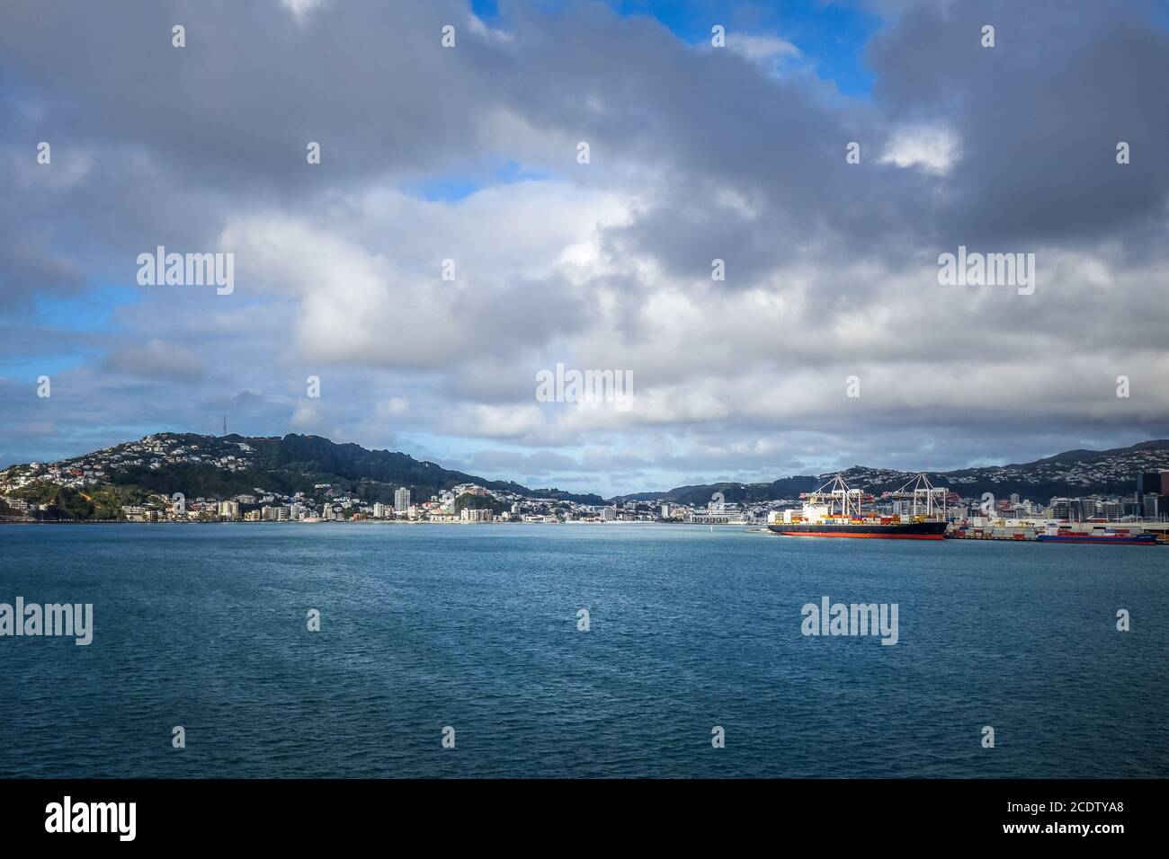 Wellington city view from the sea, New Zealand Stock Photo - Alamy
