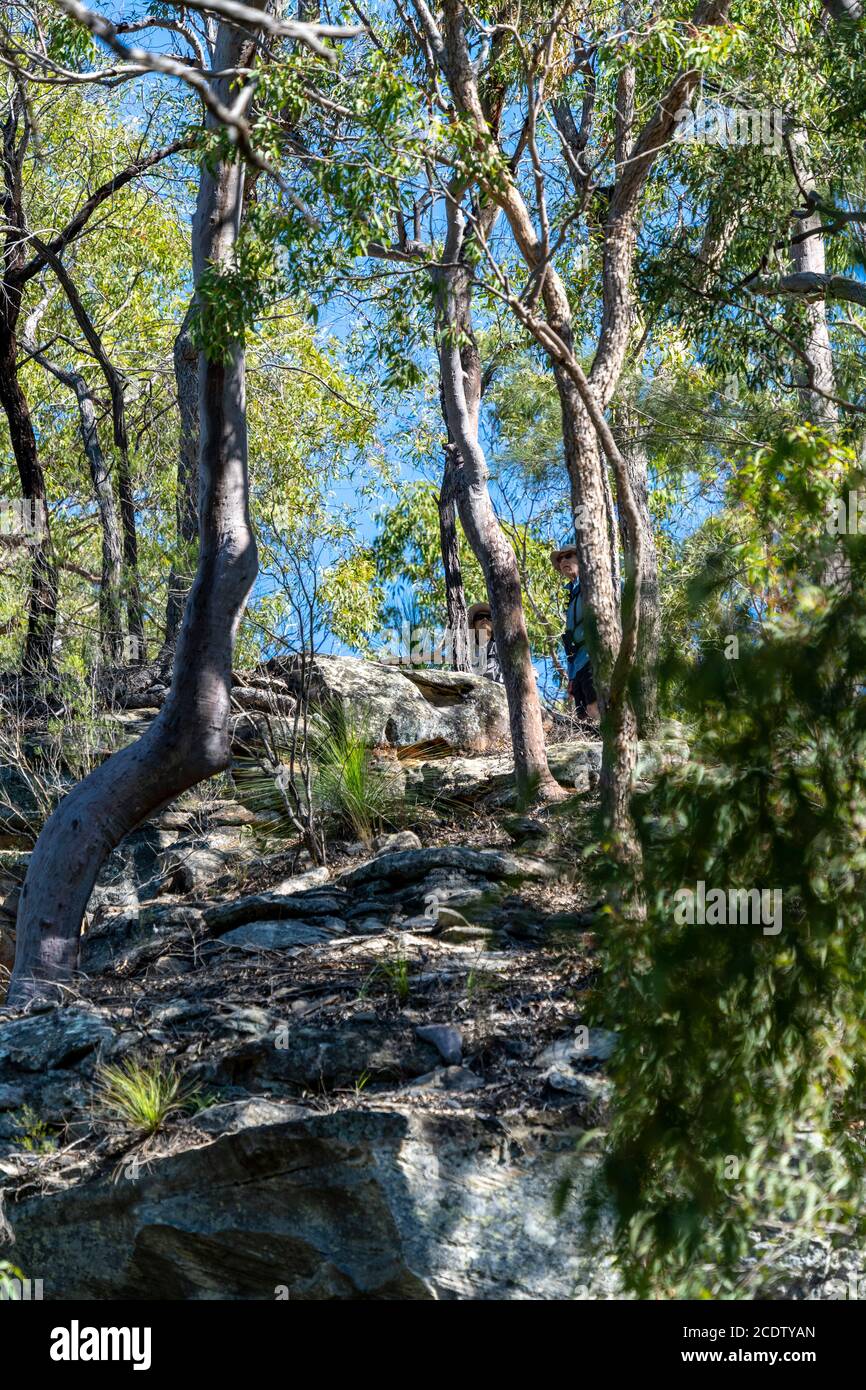 Sandstone cliffes hi-res stock photography and images - Alamy