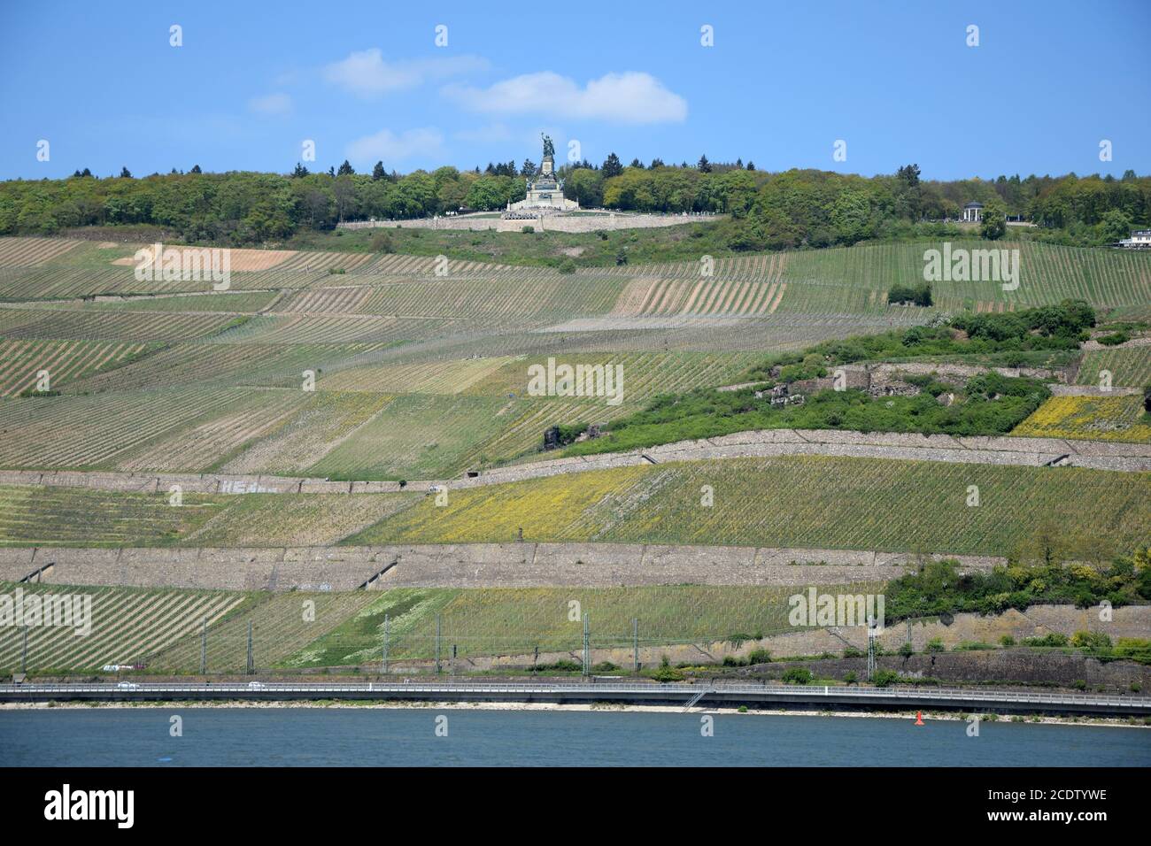 Coppice Forest Monument Stock Photo - Alamy