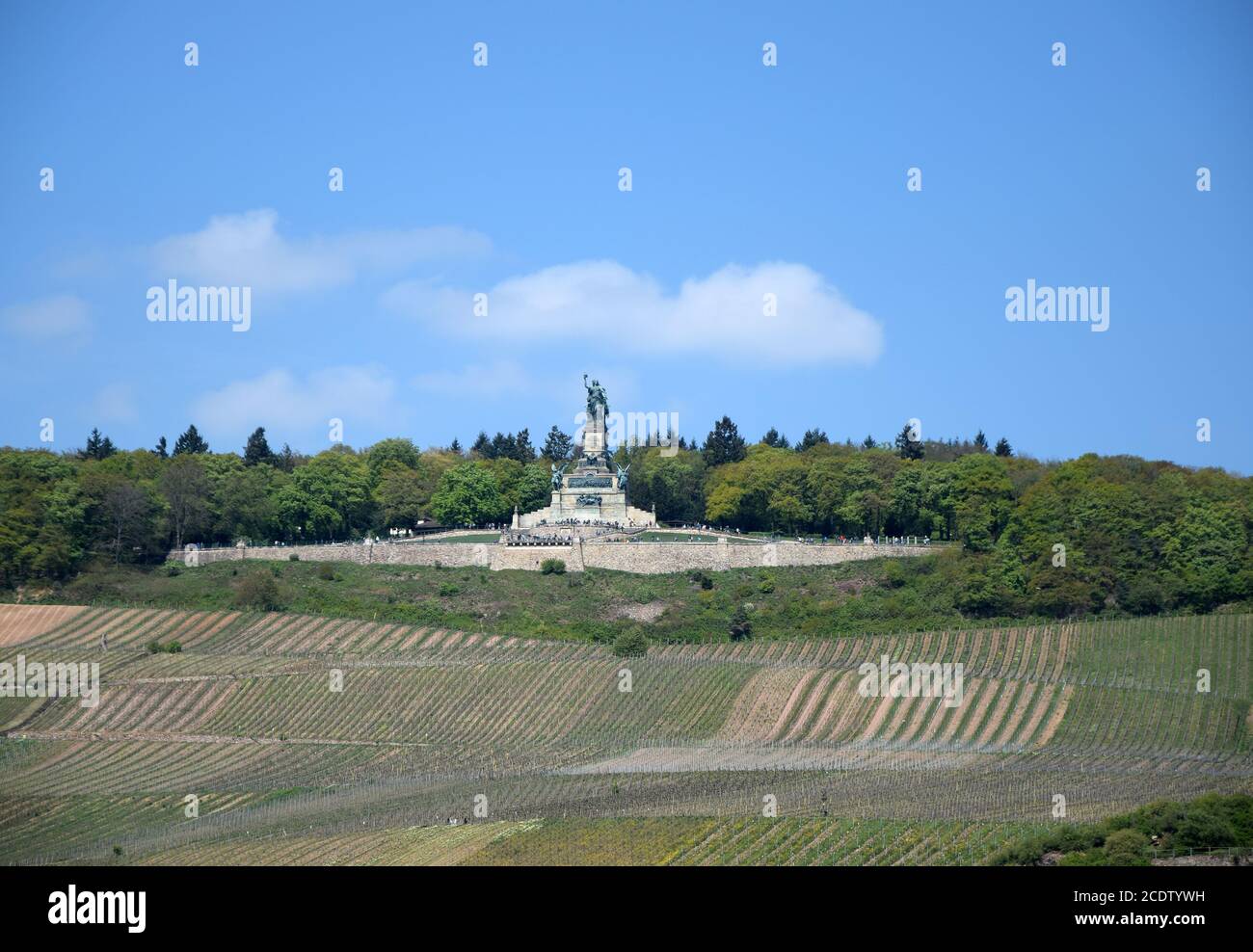 Coppice Forest Monument Stock Photo - Alamy