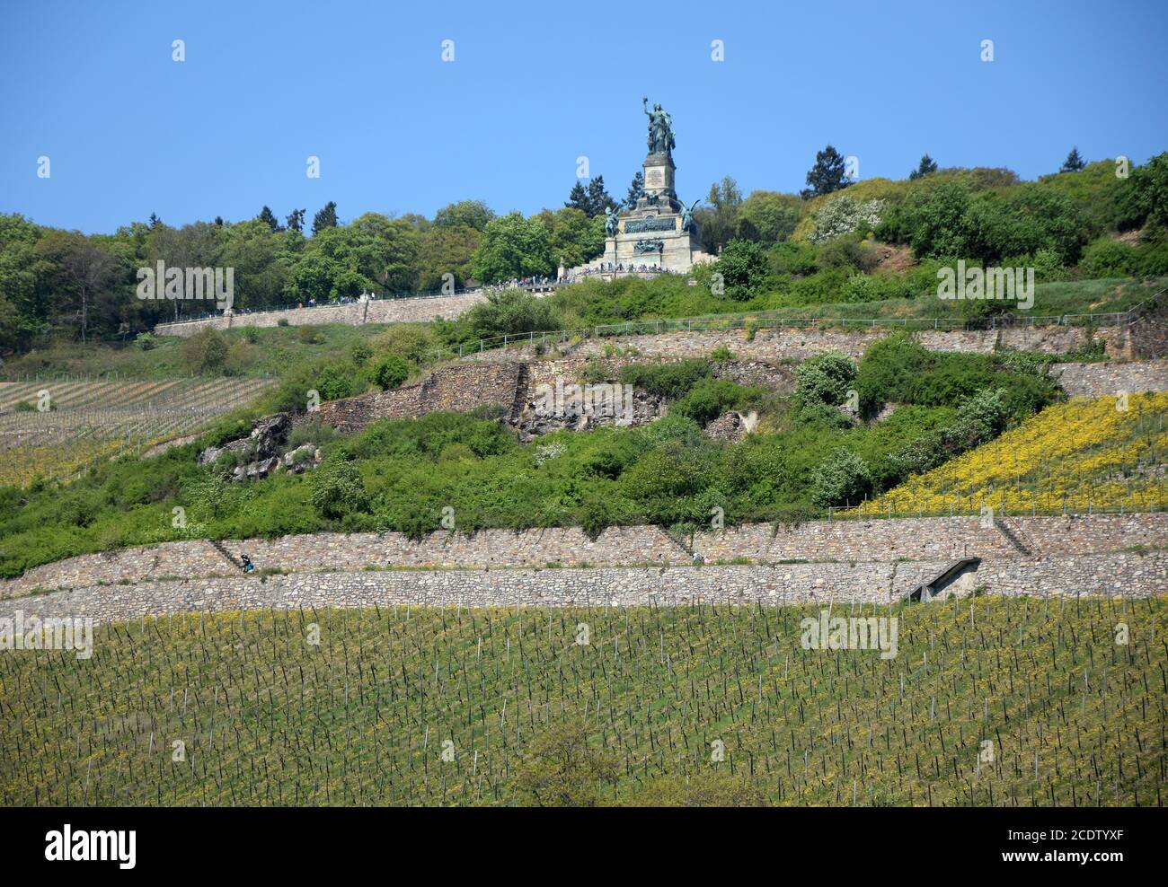 Coppice Forest Monument Stock Photo - Alamy
