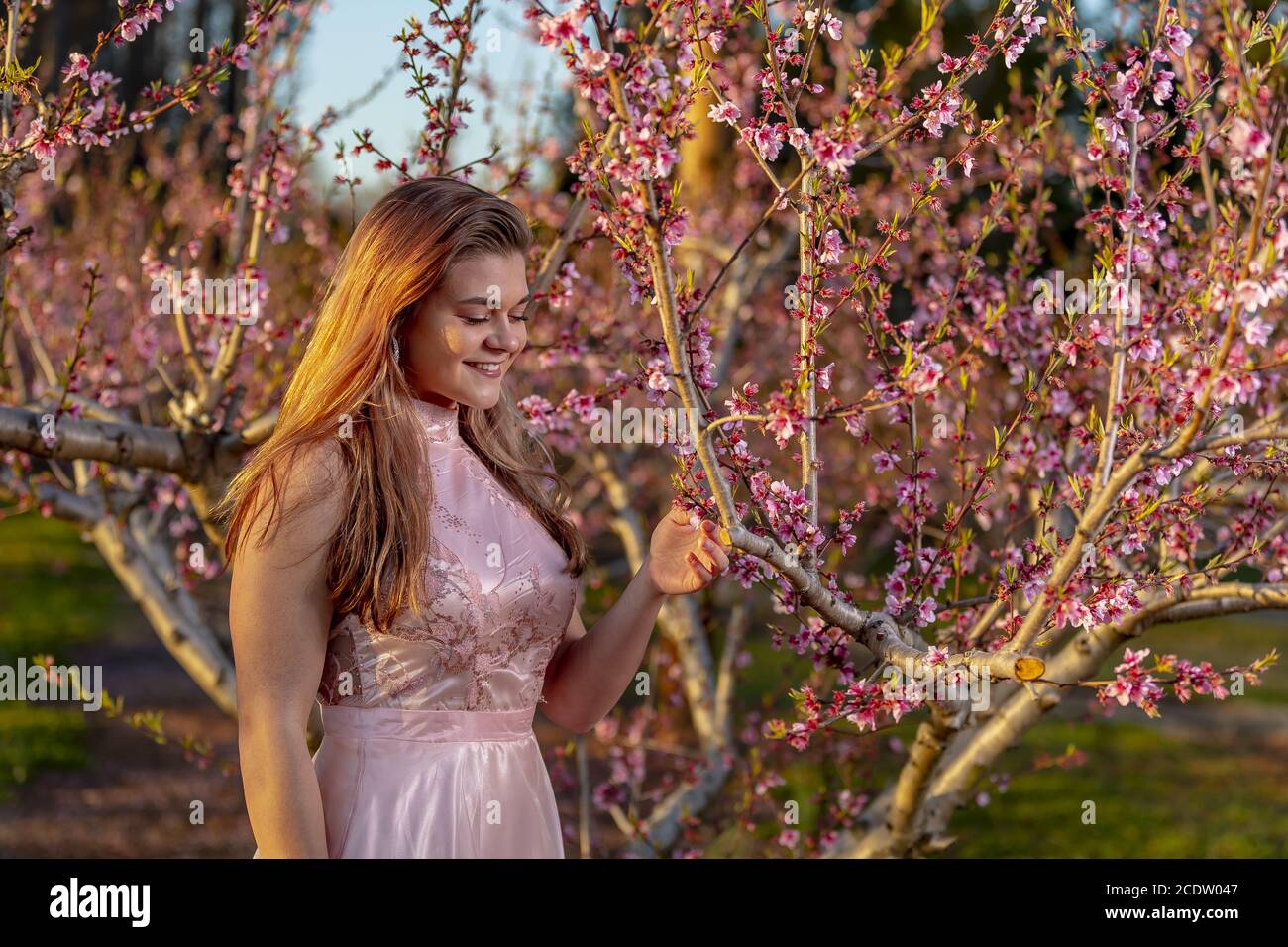 High school prom hi-res stock photography and images - Alamy
