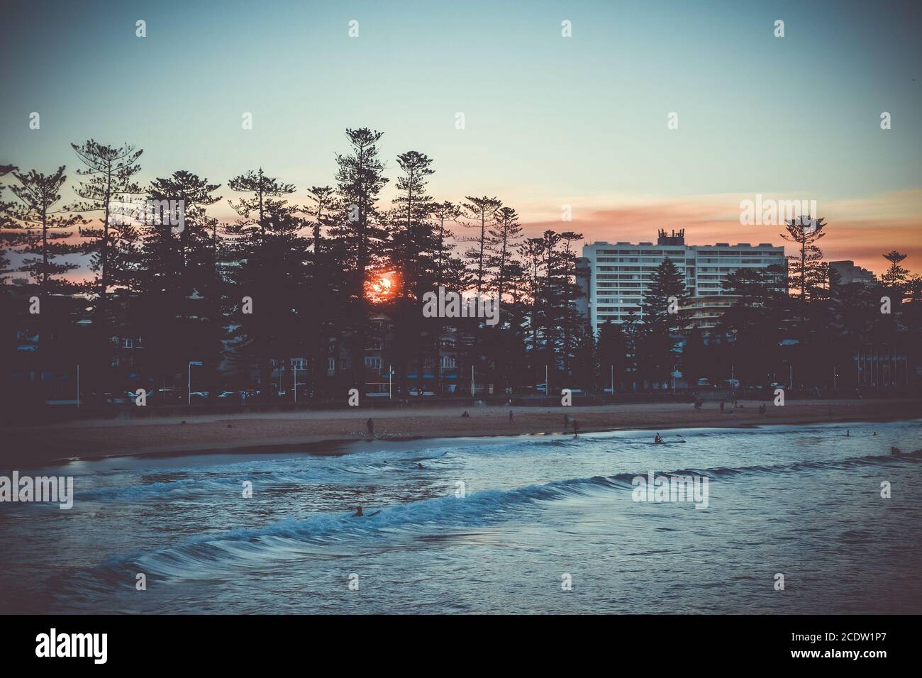 Manly beach sydney trees hi-res stock photography and images - Alamy