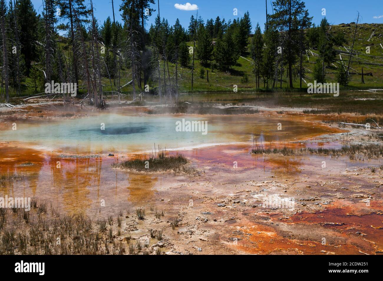 Geothermal bacteria in the hot blue waters of Culvert Geyser create red ...