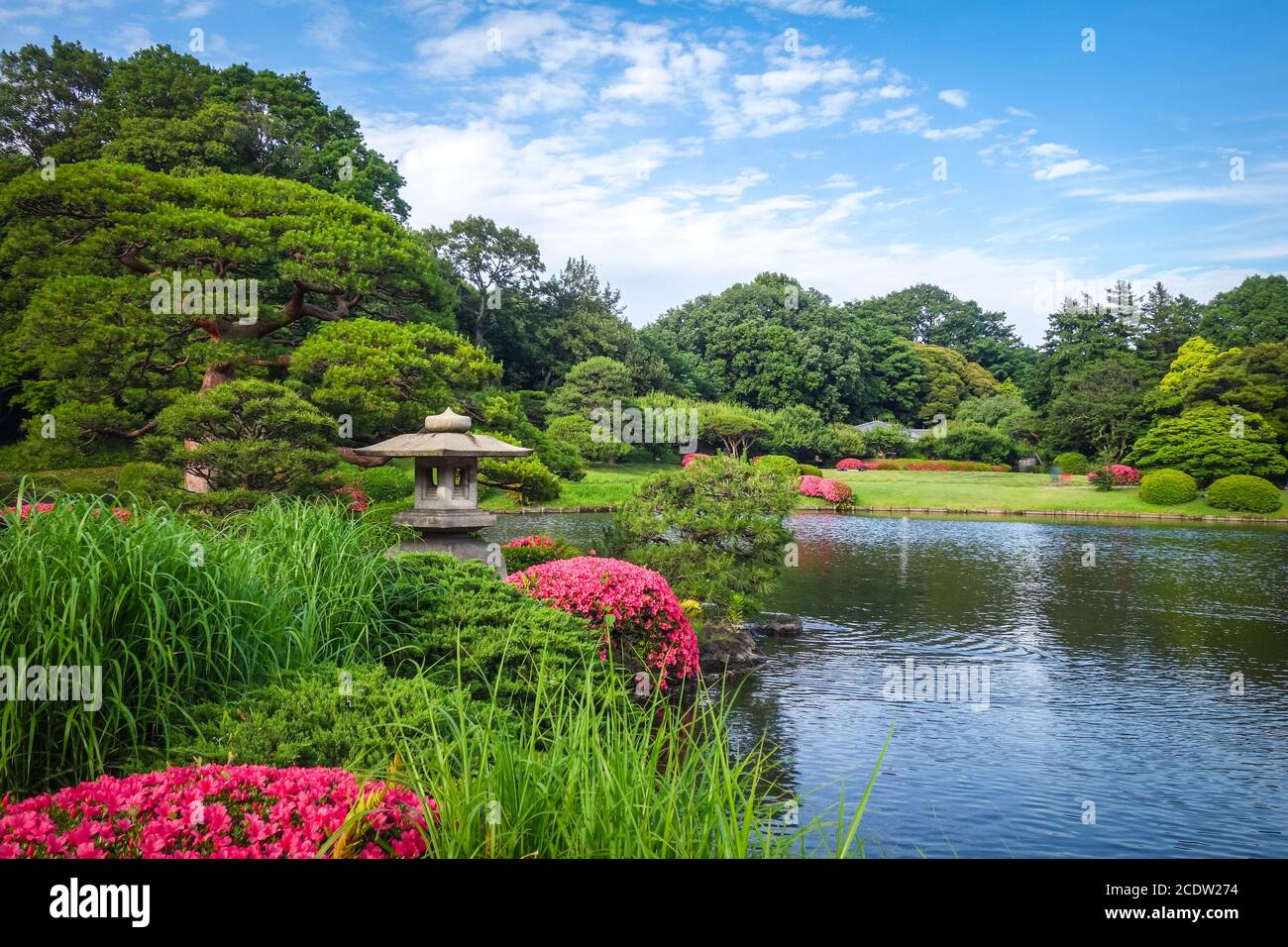 Shinjuku Gyoen garden, Tokyo, Japan Stock Photo - Alamy
