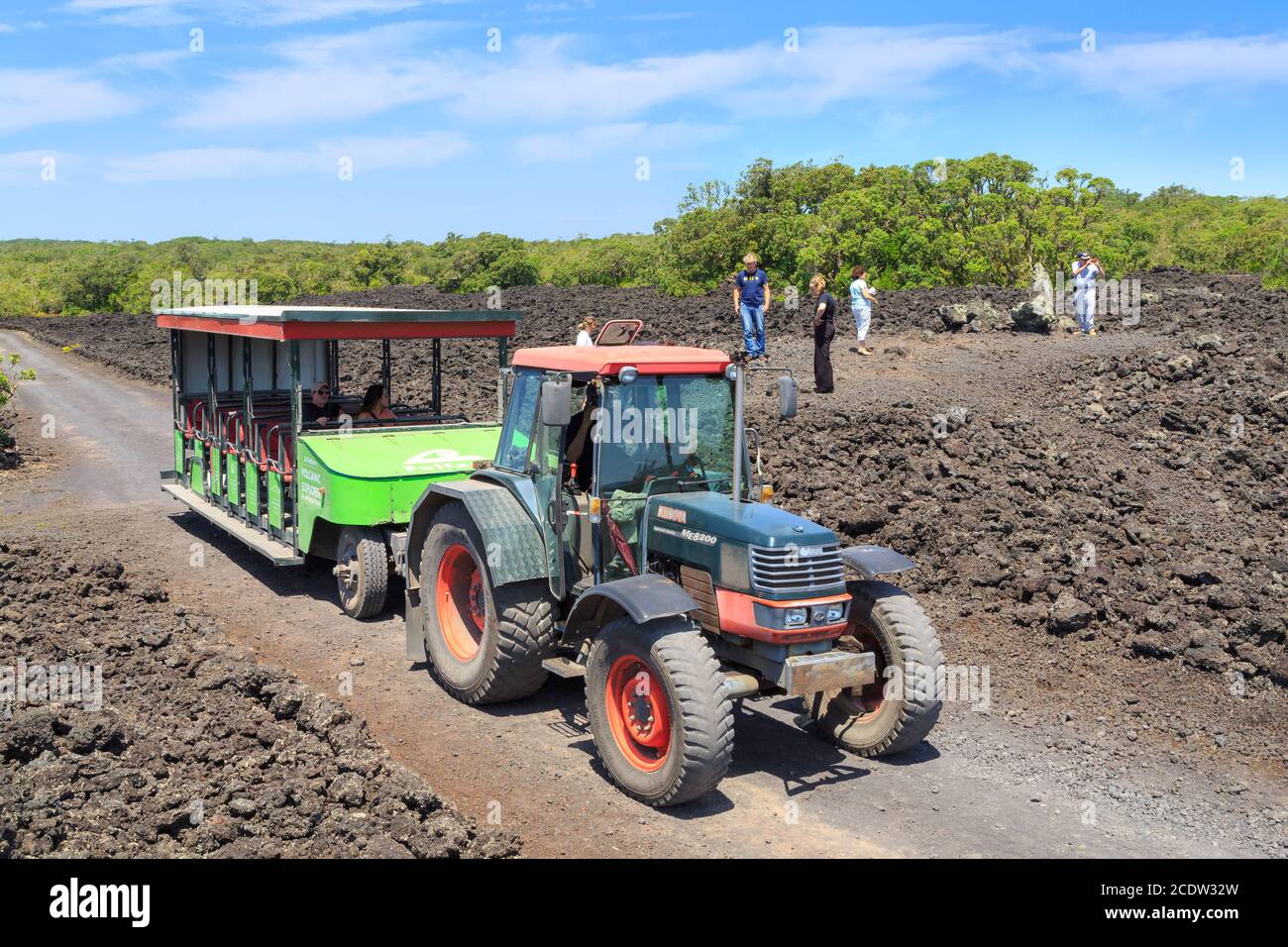 Rangitoto Island, New Zealand, a dormant volcano. Tourists on a "road ...