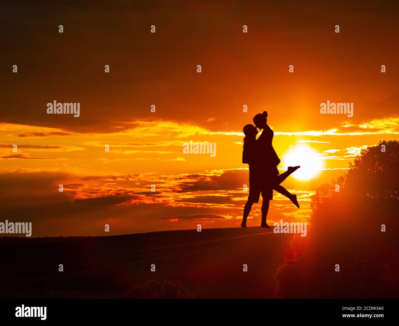 Romantic couple on countryside at the sunset with the sun and one tree ...