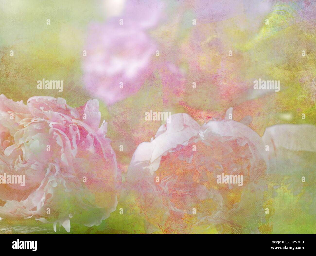 Pastel garden hi-res stock photography and images - Alamy