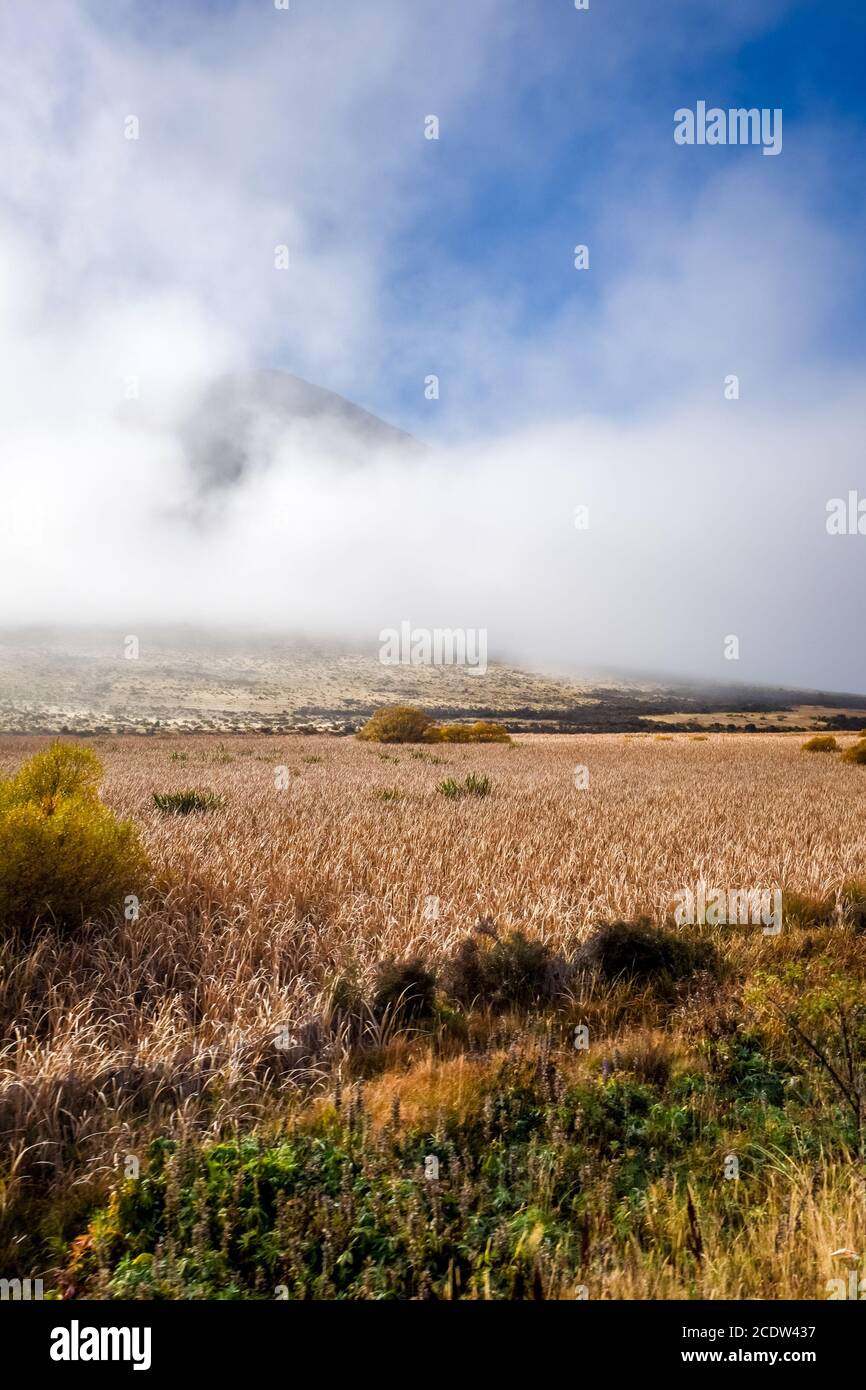Mountain fields landscape in New Zealand Stock Photo - Alamy