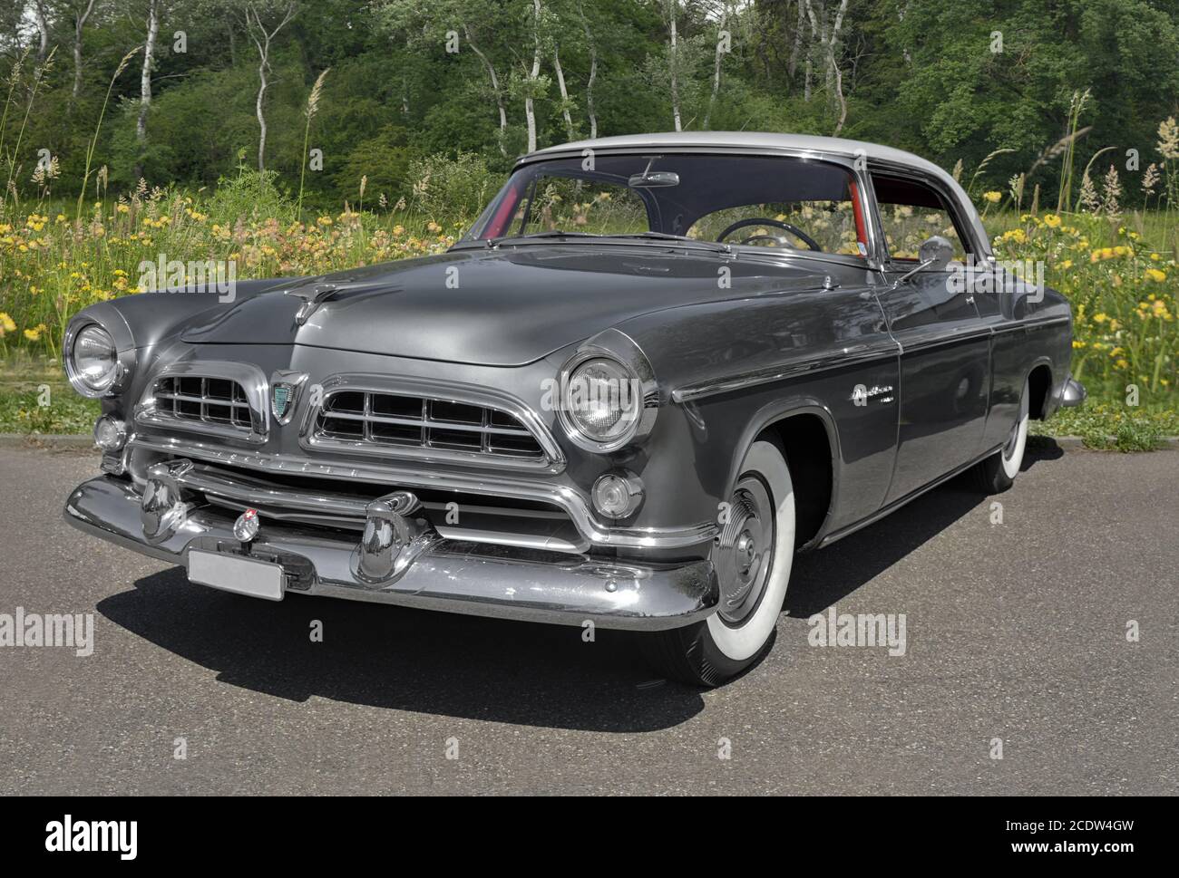 Classic car forest hi-res stock photography and images - Alamy