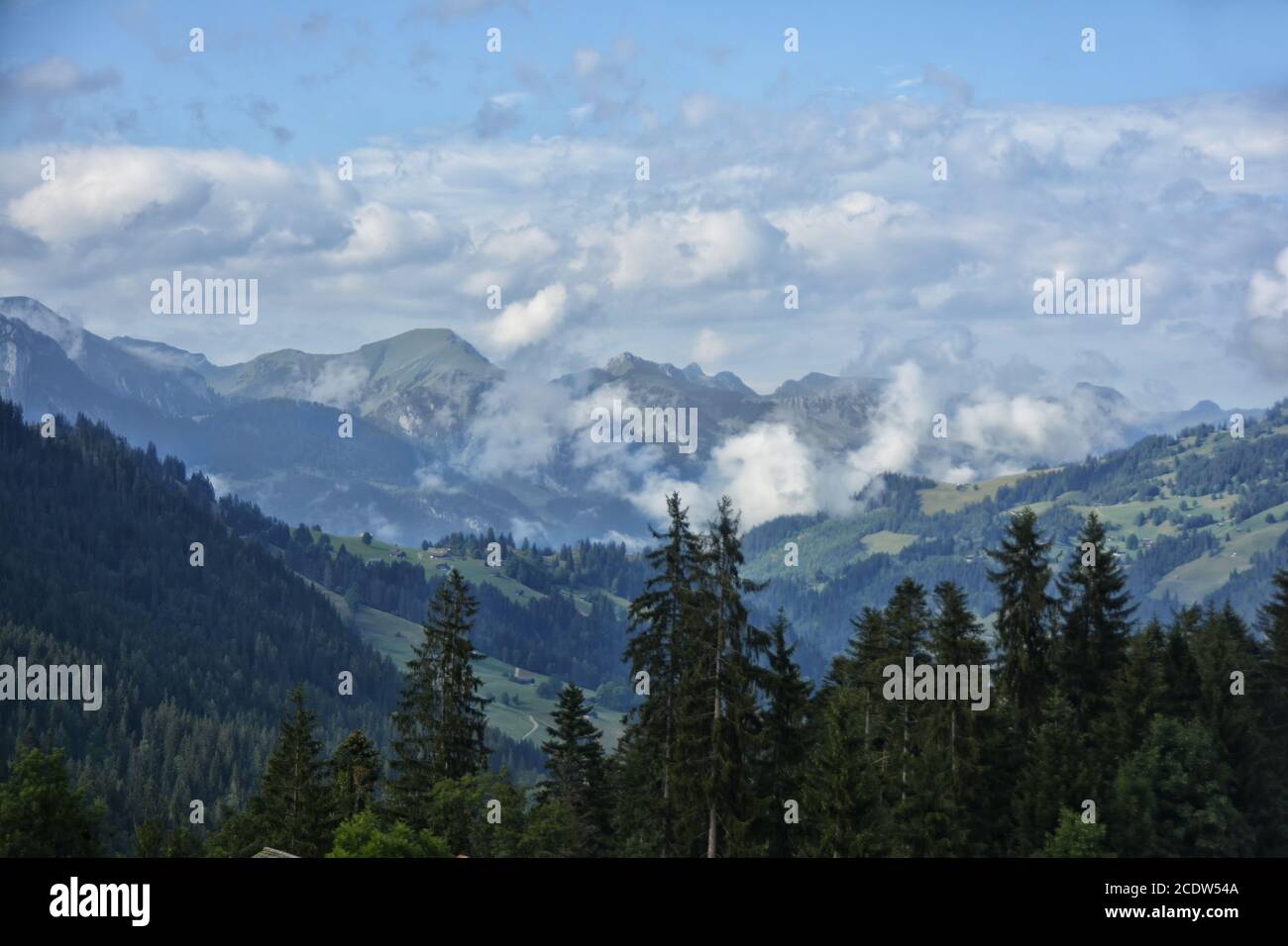 Swiss Alps Summer Zweisimmen High Resolution Stock Photography and ...