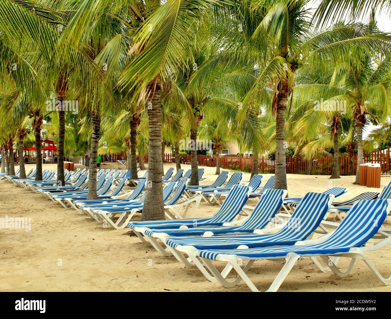 Lounge chairs on the beach Stock Photo - Alamy