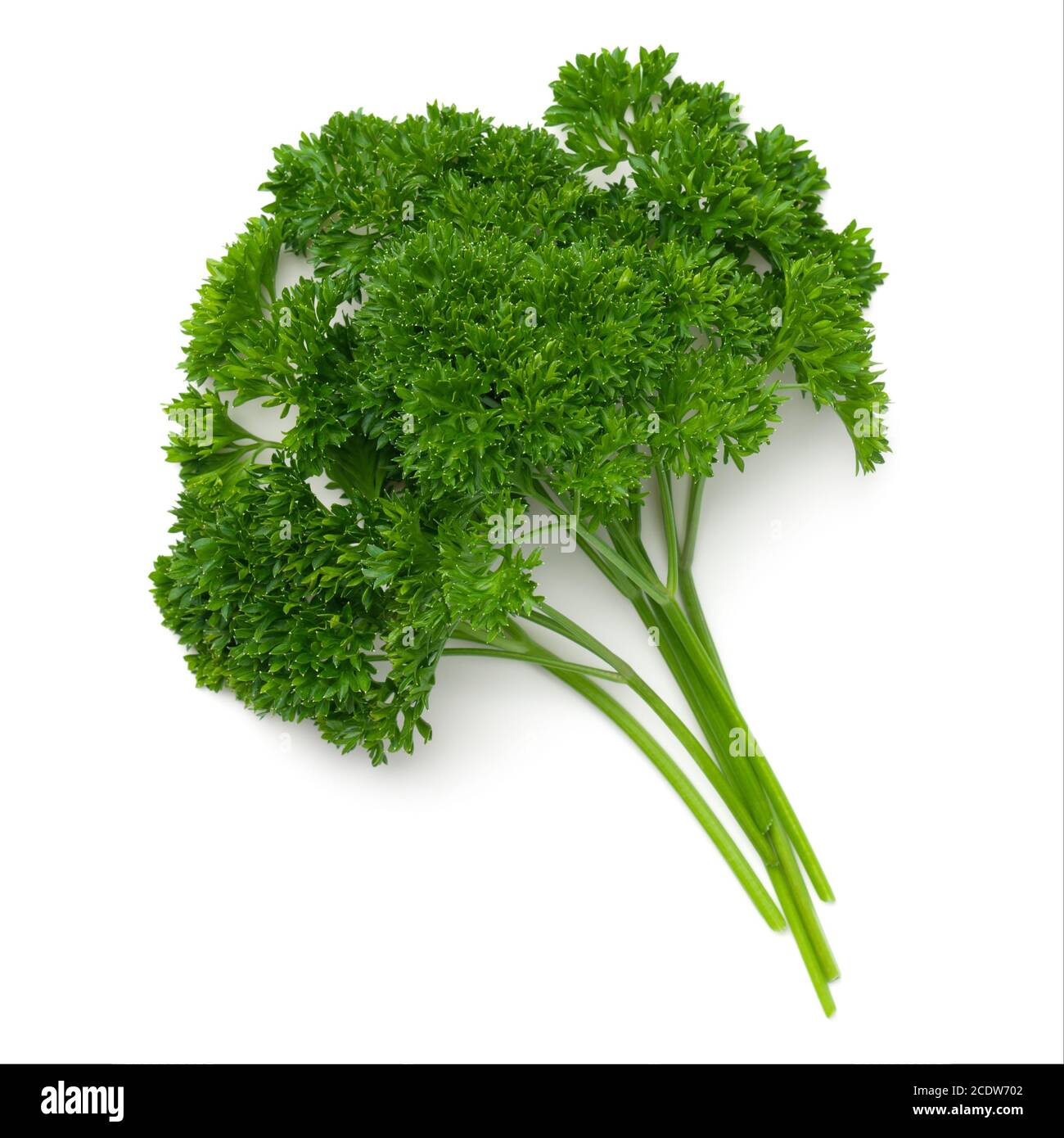 Parsley Leaves Isolated on White Background Stock Photo - Alamy