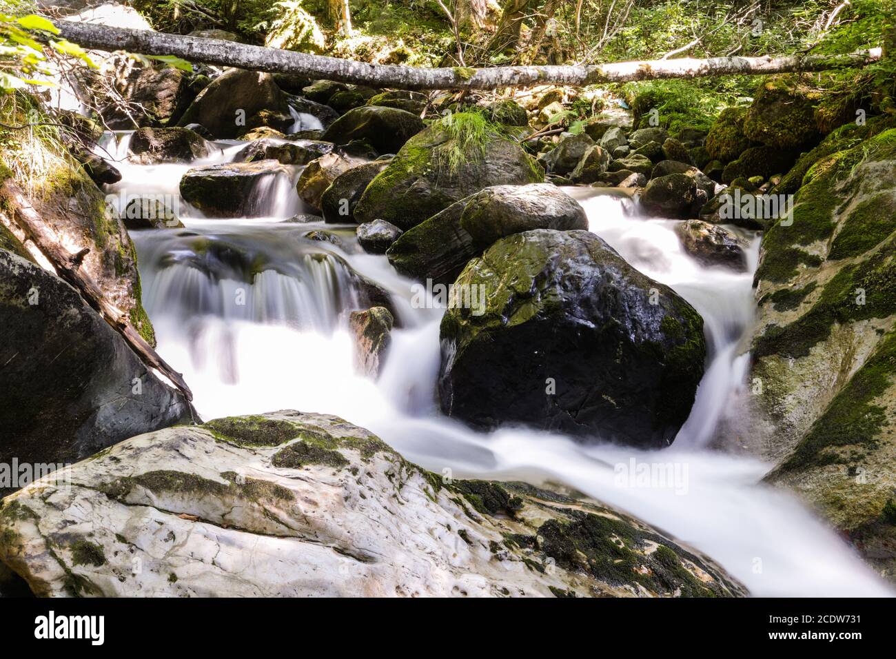 Soft water river Stock Photo - Alamy