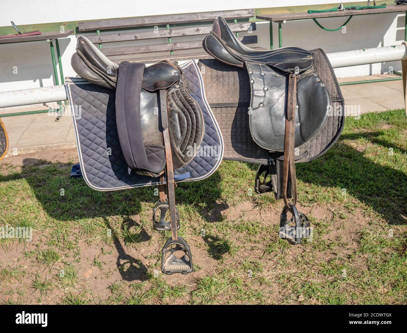 Old racing horse riding stable hi-res stock photography and images - Alamy