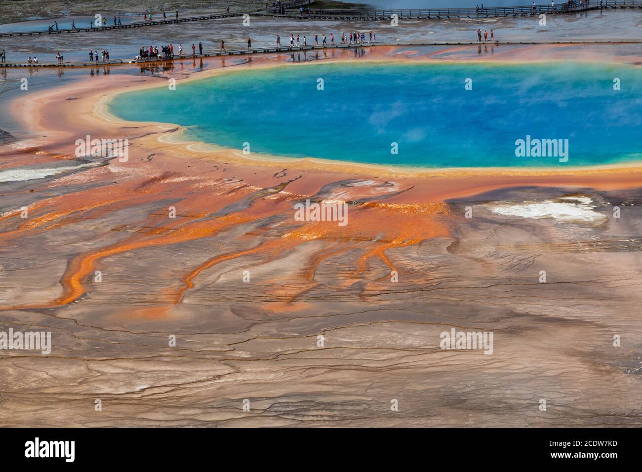 The large and vibrant Grand Prismatic Springs in Yellowstone National ...