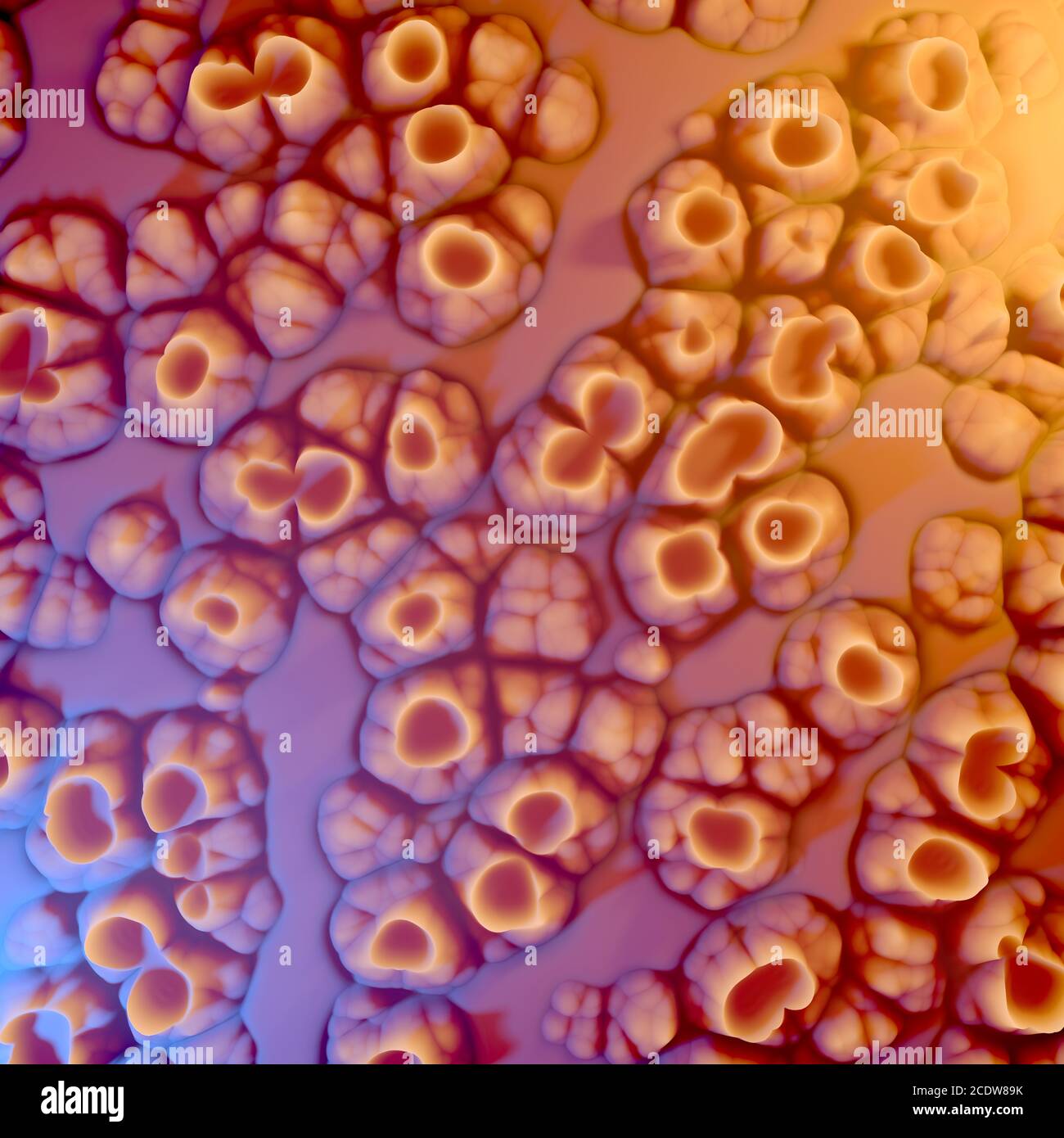 Rendering texture hi-res stock photography and images - Alamy