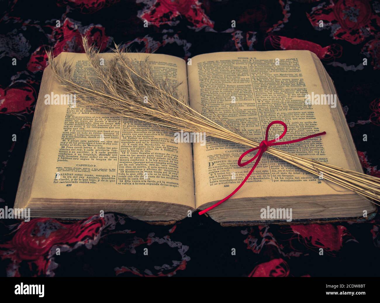 Vintage style. open antique book with dry grass and red thread with ...