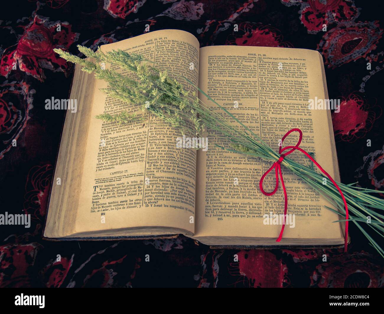 Vintage style. open antique book with dry grass and red thread with ...