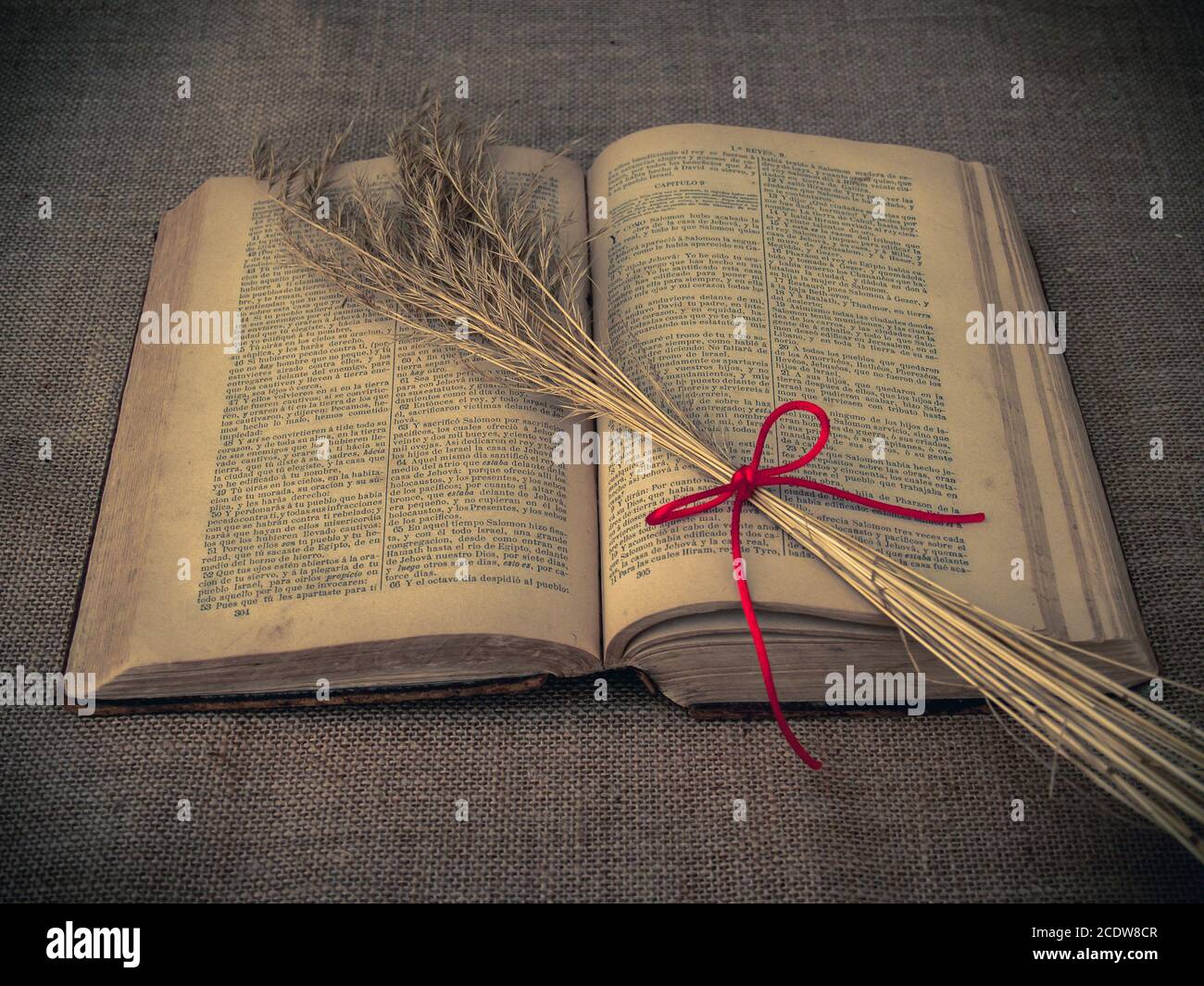 Vintage style. open antique book with dry grass and red thread with ...