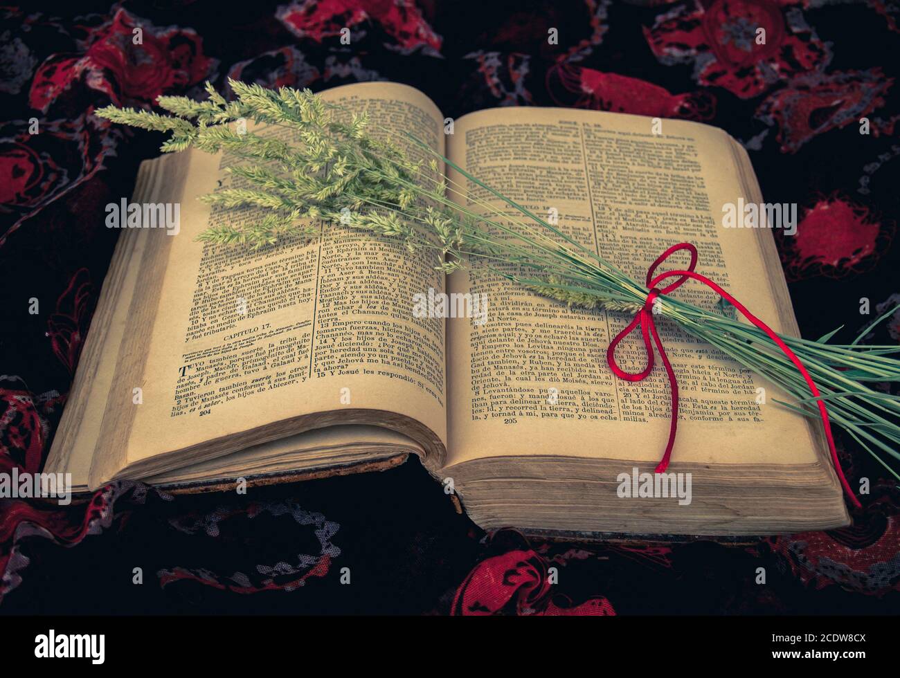 Vintage style. open antique book with dry grass and red thread with ...