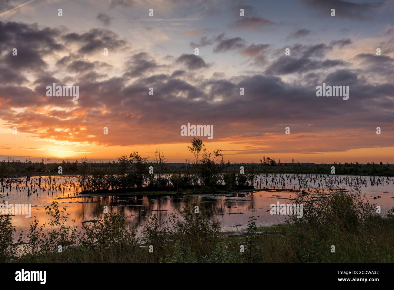 Peat blog hi-res stock photography and images - Alamy