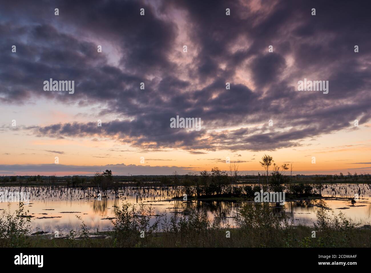 sunrise in a German marsh Stock Photo - Alamy