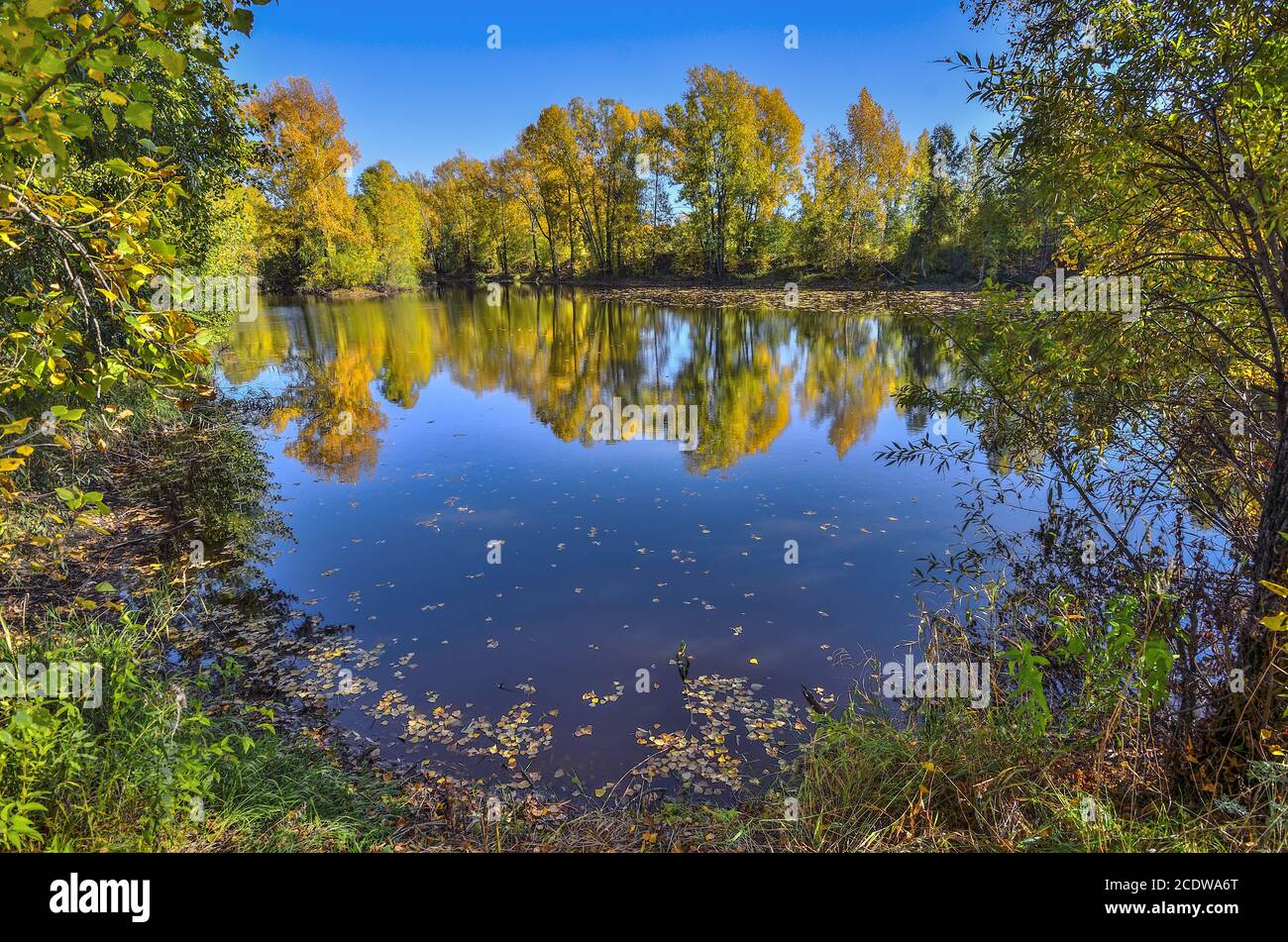 Beautiful autumn leaves near hi-res stock photography and images - Alamy